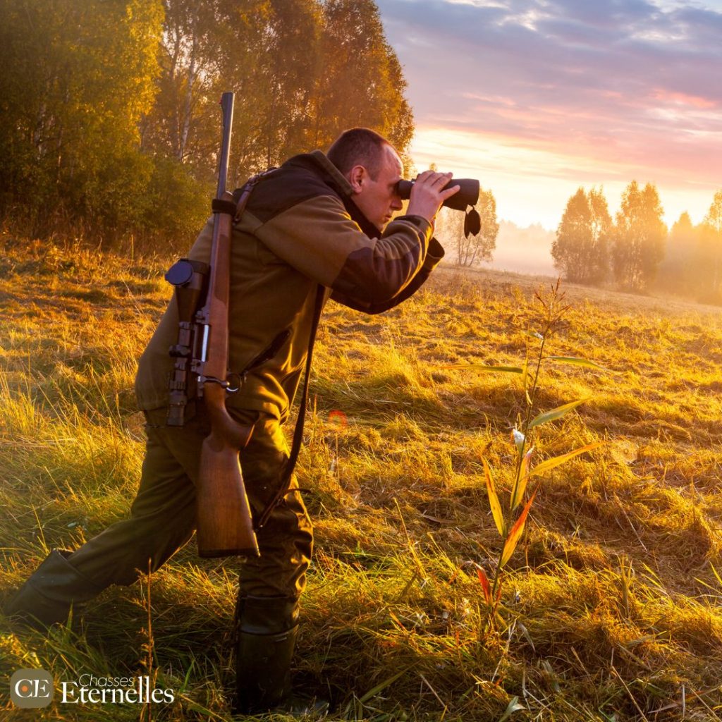 Bilan des accidents de chasse 2023/2024 - Chasses éternelles