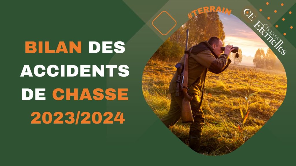 Bilan des accidents de chasse 2023/2024 - Chasses éternelles