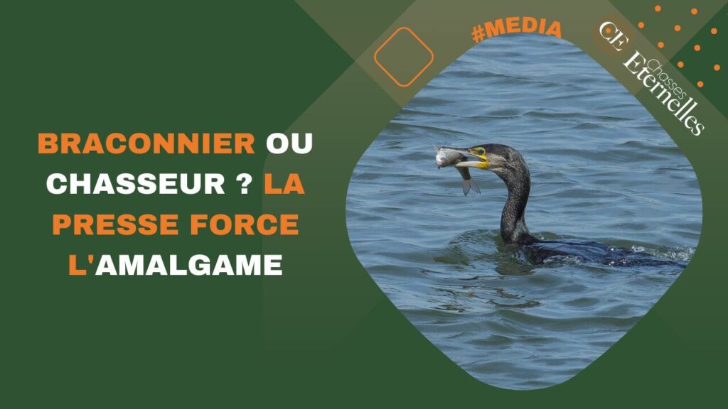 Braconnier ou chasseur ? la presse force l'amalgame - Chasses éternelles